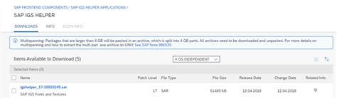 How To Upgrade Sap Kernel