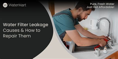 How Often Should I Change My Water Filter A Practical Guide