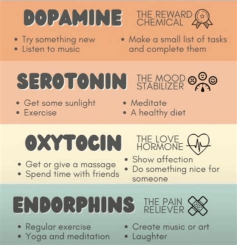 2025 的 39 个 Neurotransmitters 点子 钢琴教学 大腦 科學
