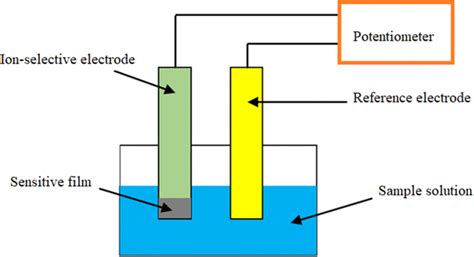 schematic diagram of ion selective sensor array for beer detection