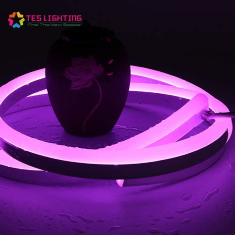 색상 변경 24v Led 네온 플렉스 로프 라이트 의 고품질 색상 변경 24v Led 네온 플렉스 로프 라이트