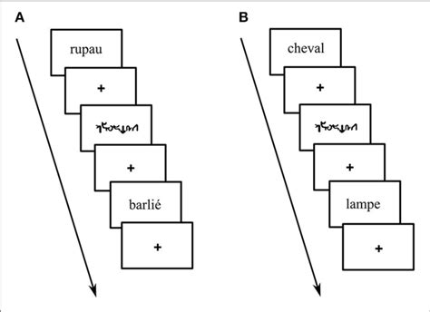 Example Of Stimuli Presented During A Phoneme Detection