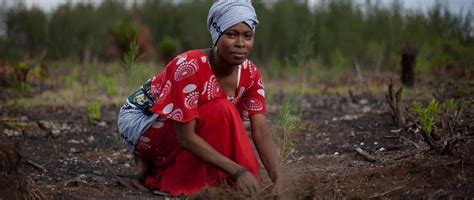 Climate Change Effects Donate Now Care Australia