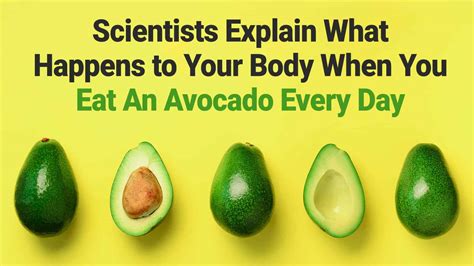 Scientists Explain What Happens To Your Body When You Eat An Avocado