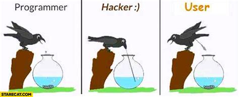 Programmer Hacker User As A Bird Comparison StareCat