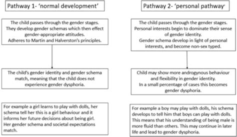Gender P3 Flashcards Quizlet