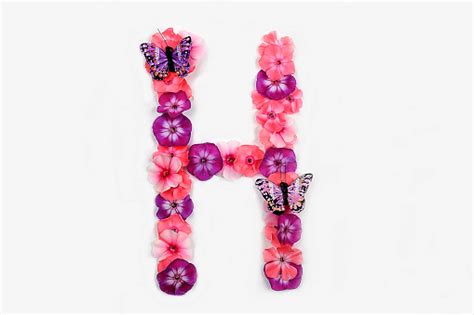 진짜 신선한 꽃으로 만든 문자 H 창조적 인 꽃 글꼴 개념 디자인을위한 문자와 숫자의 독특한 컬렉션 봄 여름 가을 발렌타인 데이 개념에 대한 스톡 사진 및 기타 이미지