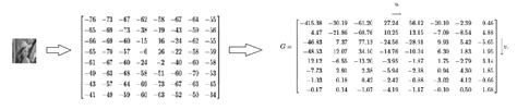 Perceptual Hashing Paralife
