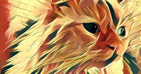 freddie prisma i was impressed by how well some of these filters work album on imgur