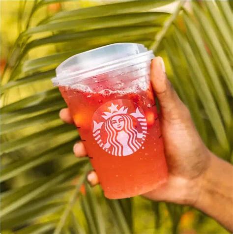 17 Best Starbucks Summer Drinks That Will Keep You Energized