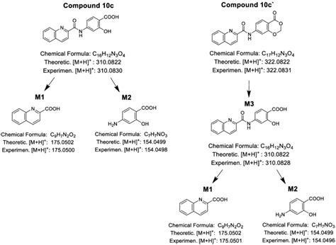 Schematic Illustration Of The Suggested Structures Of Metabolites For