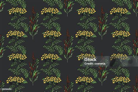 식물 식물 완벽 한 패턴과 꽃과 열매 벡터 일러스트 레이 션 검은 색 배경에 꽃 패턴을 반복합니다 패션 커버 섬유 생일 인사말 카드 인쇄를 위한 그래픽 디자인 검은색에 대한