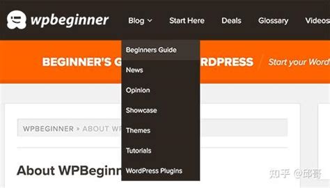 掌握 Wordpress 导航菜单的 15 个最佳教程 知乎