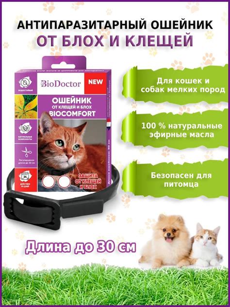 Ошейник от блох и клещей для кошек, BioDoctor - купить с доставкой по ...