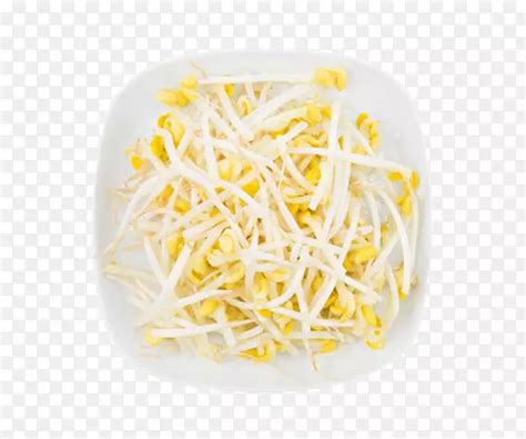 盘子里的食材黄豆芽PNG图片素材下载 图片编号qxoadwey 免抠素材网