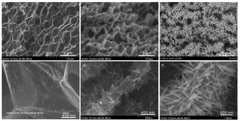 哈尔滨工业大学材料科学与工程学院jie Yu等 嵌入石墨烯结构碳壁的fe Fe3c颗粒上生长的垂直石墨烯片和fe3o4纳米棒的多孔复合材料用于高效微波吸收
