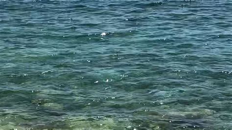 Why I Switched Back To H264 From Hevc Codec Scrolller