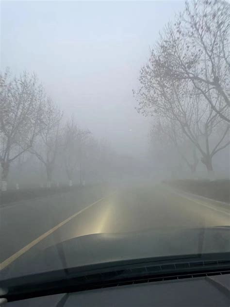 Ruby Jiang On Linkedin Todays Fog