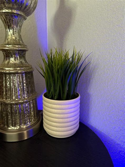 Lifelines Grass Plant Diffuser Macys Lifelines Grass Plant Diffuser Macys