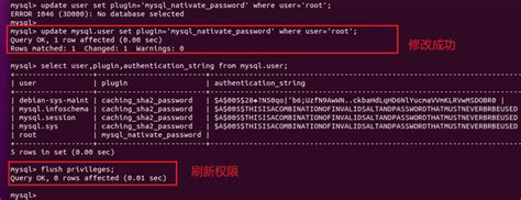 Ubuntu 系统部署 Mysql 入门篇ubuntu部署mysql Csdn博客