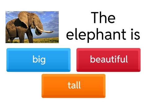 Grade 3 Theme 3 Test