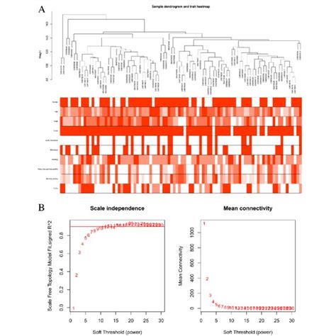 Sample Dendrogram And Soft Thresholding Values Estimation A Sample Download Scientific Diagram
