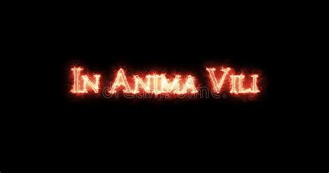 In Anima Vili Written With Fire Stock Video Video Of Culture Rome