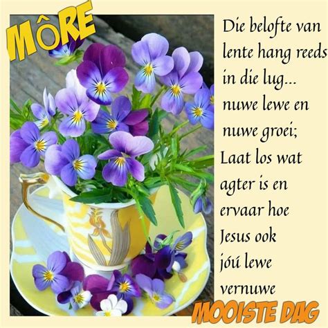 Goeie Môre Good Morning Wishes Goeie More Good Morning Greetings