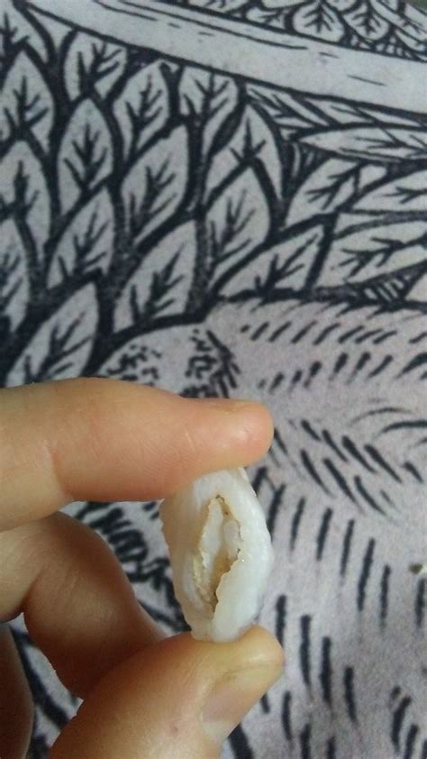 Here Are My Special Rocks From My Rock Collection F Ck Yeah Yonic Symbols