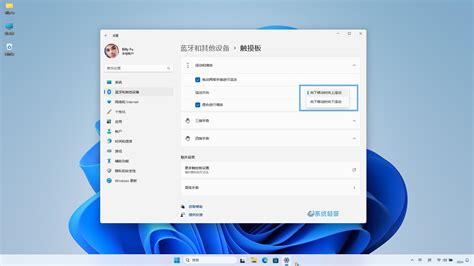 滚轮方向不顺手？教你轻松更改 windows 鼠标和触摸板滚动方向 系统极客