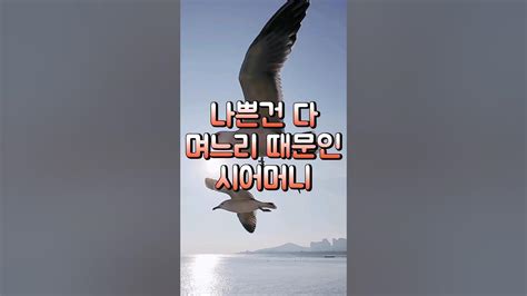 형제싸움이 며느리 때문이라는 시어머니 부부상담 이혼 고부갈등 시댁 Youtube
