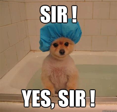 Sir Yes Sir Sir Yes Sir Quickmeme