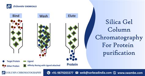 Column Chromatography Adsorbents Silica Gel And Aluminium Oxide