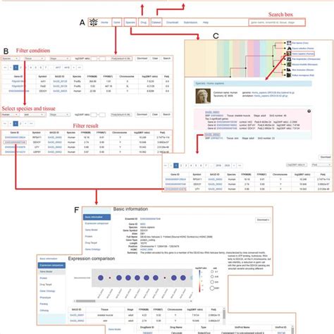 Overall Design Of SAGD SAGD Curated Metadata Information From Download Scientific Diagram