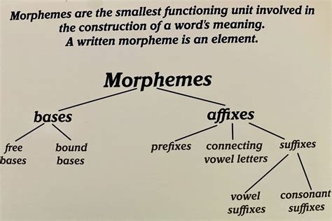 Free Morpheme Examples To Enhance Your Language Skills