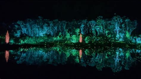 Ramus Project Illumina Return To Sky Adam Warburton