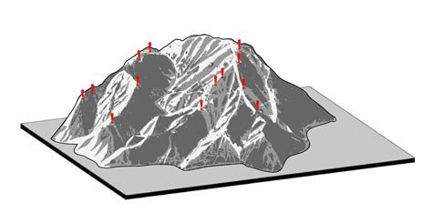 Distribution