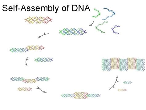 Algorithmic Selfassembly For Nanoscale Fabrication Erik Winfree Computer