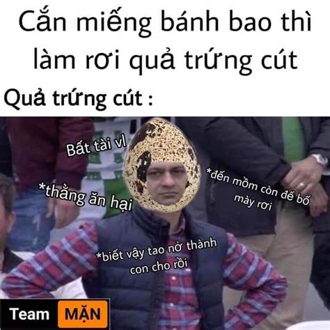 Ghim C A Leo Tr N Mu I Funny Memes Chuy N C I H I H C