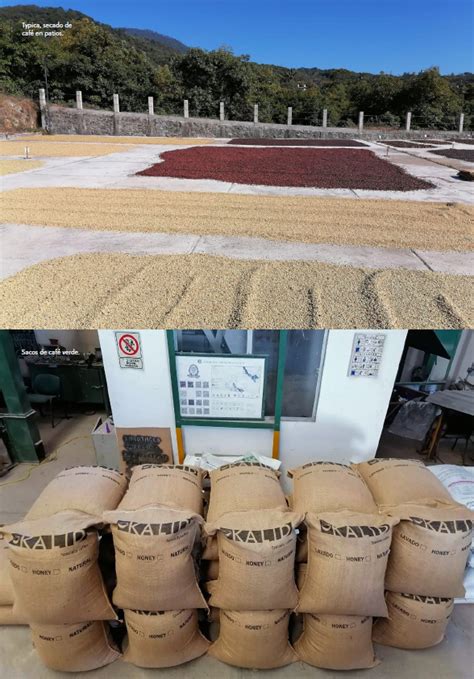 Finca Kalid Por Amor Al Terruño Y A La Familia