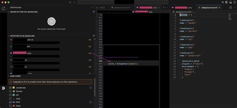 Vsc Extension Not Showing Issues In A File Help Wanted Deepsource Discuss