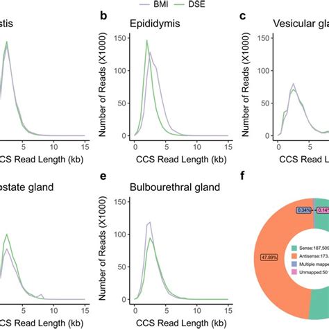 length distribution of circular consensus sequences ccs in a
