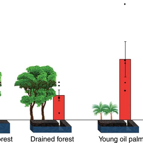 Calculation Of Phosphate Solubilization Index Download Scientific Diagram