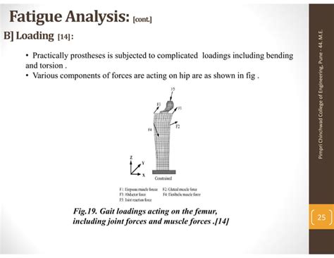 Fatigue Life Estimation Of Human Artificial Hip Joint Based On Modeling And Simulation Ppt