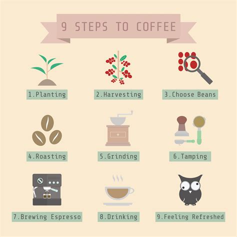 Step Of Coffee Process 646479 Vector Art At Vecteezy