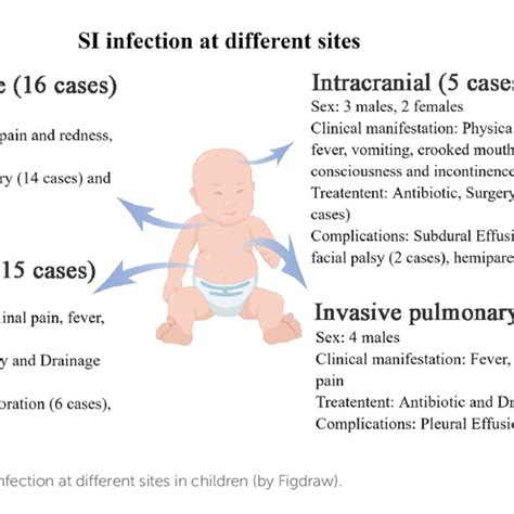 The Imaging Manifestations Of S Intermedius A Ultrasound Download Scientific Diagram