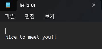 python 5 텍스트 파일 열기 읽기 쓰기