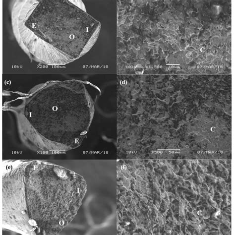 Sem Micrographs Of The Fracture Surface Of Separated Fragment After