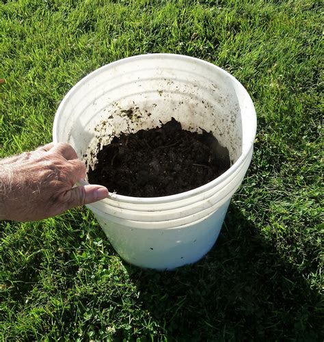 Gardening For Life Discovering New Ways To Feed The World