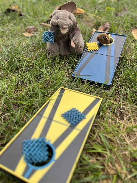 Make Of Desktop Cornhole Catapult And Articulating Bean Bags By